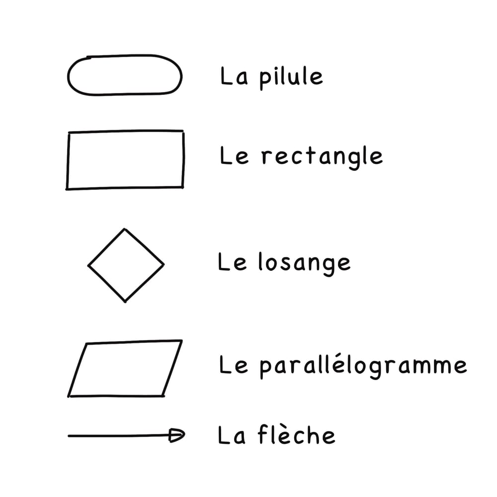 Cartographie des processus : définition, méthode & usages