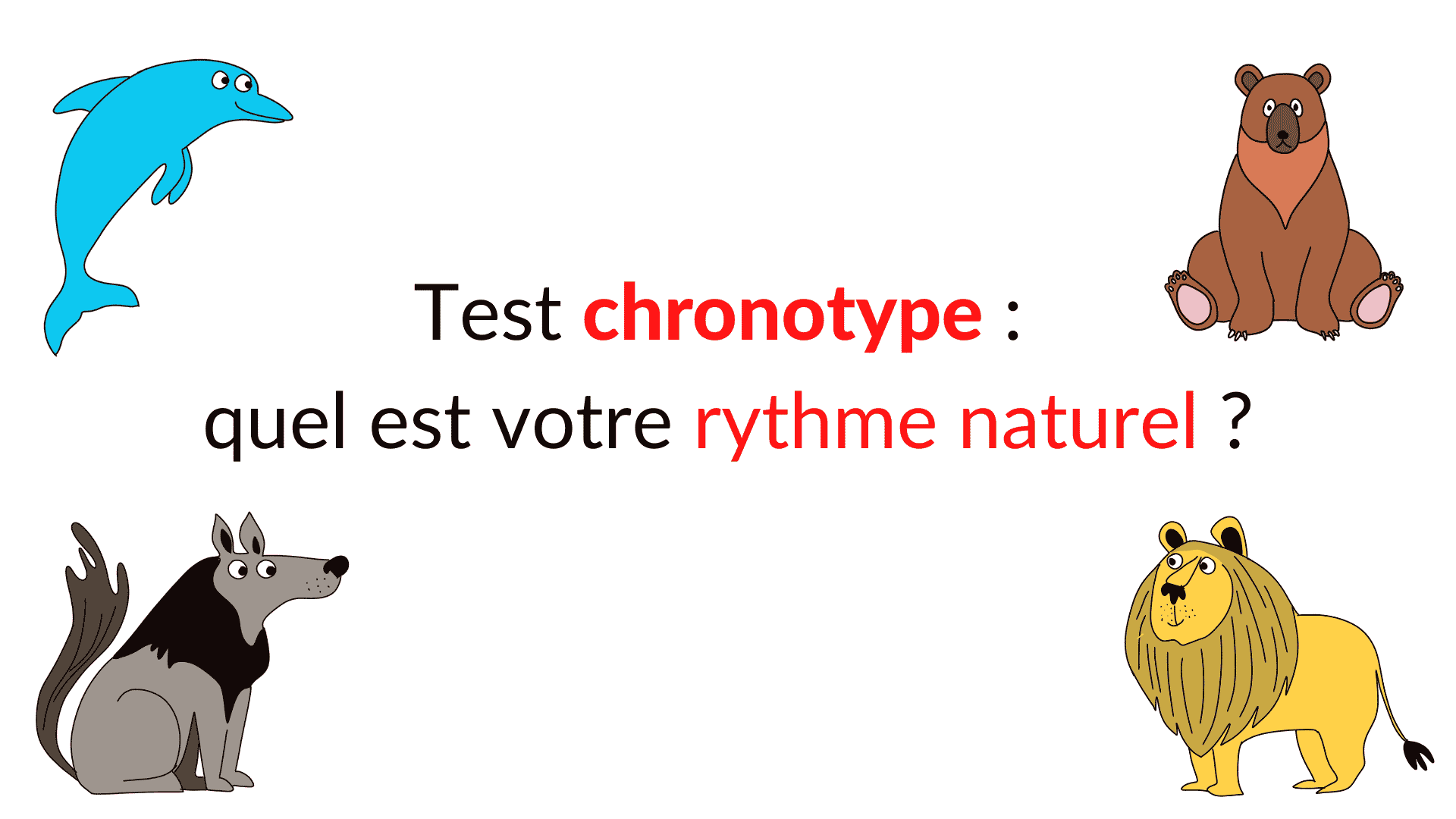Test Chronotype : êtes-vous un ours, un loup, un dauphin ou un lion?